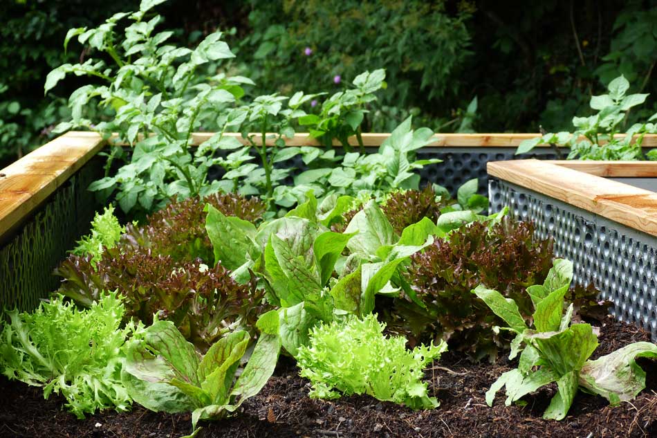 Selbstversorgung aus dem Garten: das Hochbeet • TINY and small HOUSES